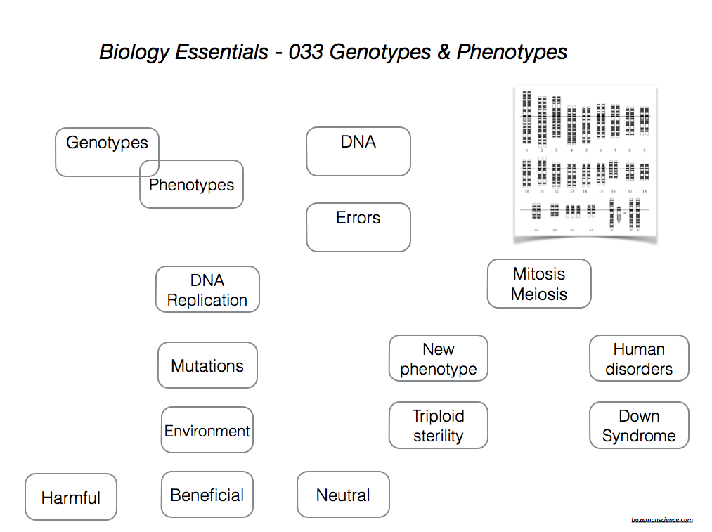 Solved Question | Chegg.com