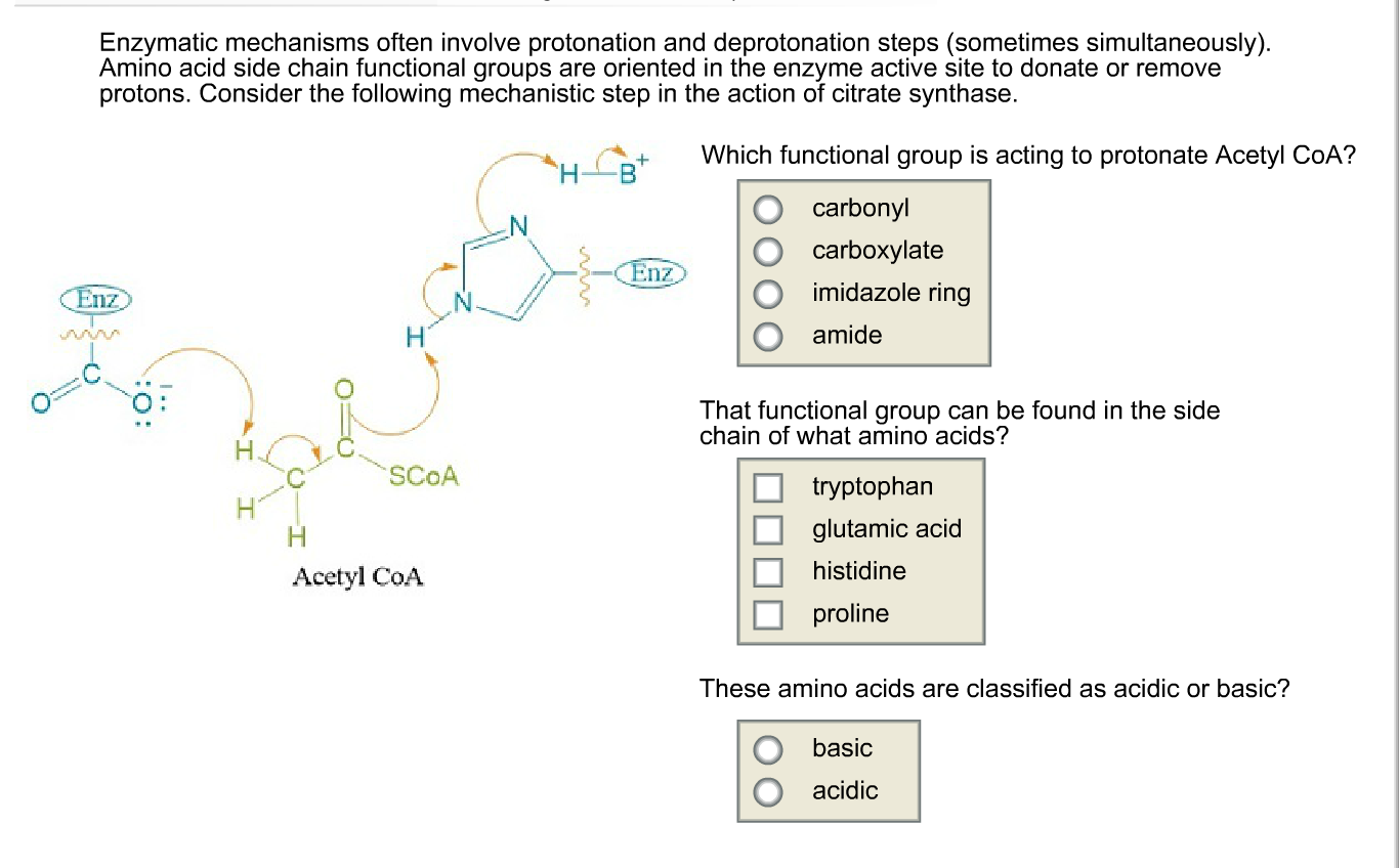 Solved Enzymatic mechanisms often involve protonation and | Chegg.com