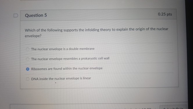 Solved DQuestion 5 0.25 pts Which of the following supports | Chegg.com