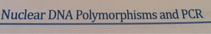 Solved Nuclear DNA Polymorphisms and PCR | Chegg.com