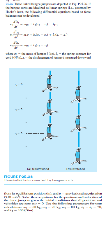 Solved 25.26 Three linked bungee jumpers are depicted in | Chegg.com