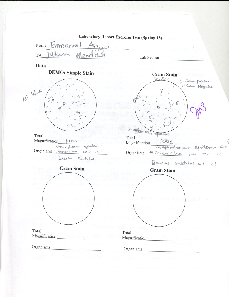 Solved Laboratory Report Exercise Two (Spring 18) Name TA | Chegg.com