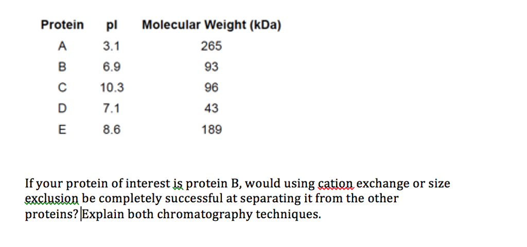 Solved Protein p Molecular Weight (kDa) A 3. 265 93 96 43 | Chegg.com