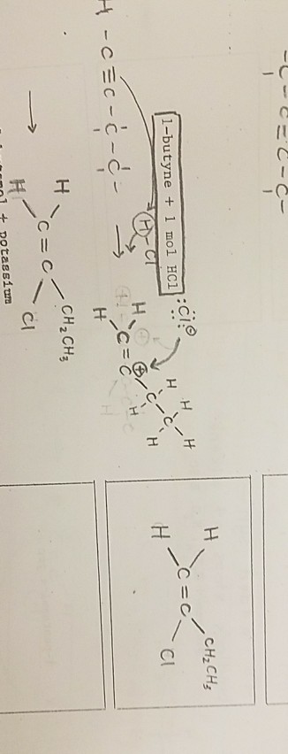 Solved 1-butyne 1 mo1 HC1 Cl CH2 CH3 cl nl +potaesium | Chegg.com Solved 1-butyne 1 mo1 HC1 Cl CH2 CH3 cl nl +potaesium | Chegg.com