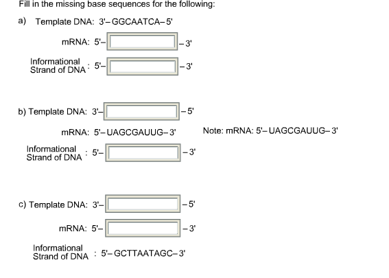 Solved Fill in the missing base sequences for the | Chegg.com