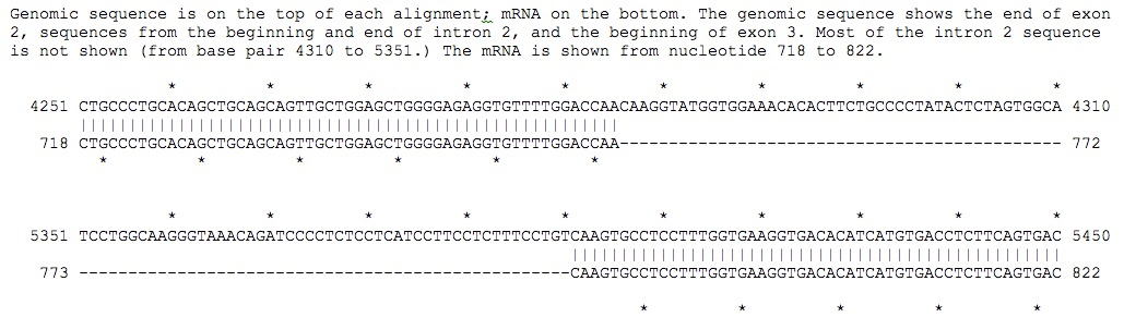 Solved In older times the four humors (being blood, phlegm, | Chegg.com
