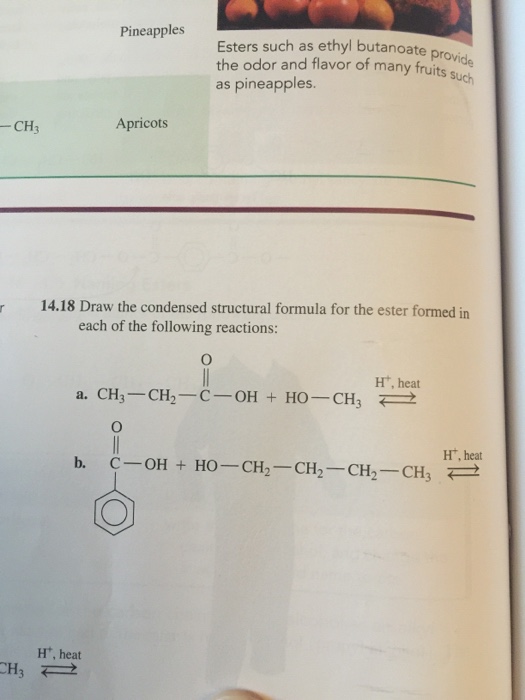 Solved Draw the condensed structural formula for the ester | Chegg.com