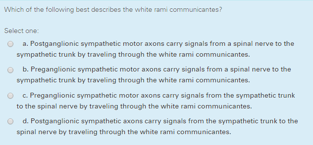 Solved Which of the following best describes the white rami | Chegg.com