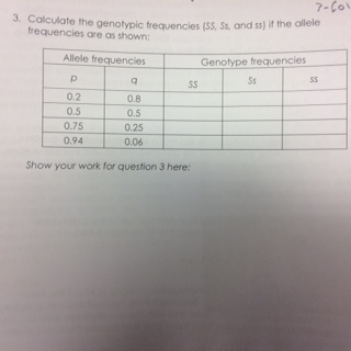 Solved Calculate the genotypic frequencies (SS, Ss, and ss) | Chegg.com