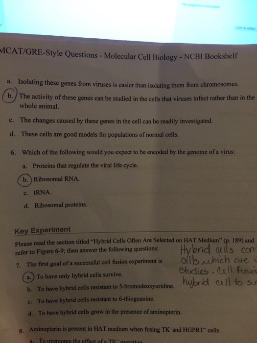 Solved Are my answers correct for questions 1-6 and can you | Chegg.com