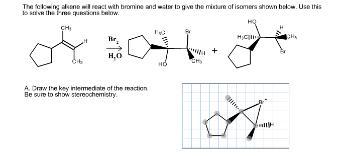 Solved The following alkene will react with bromine and | Chegg.com