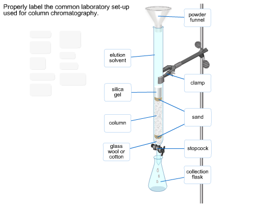Solved Properly label the common laboratory set-up used for | Chegg.com