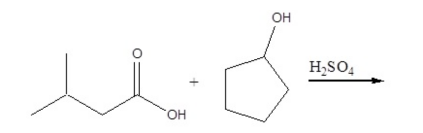 Solved ?? ?? ?.so4 ?? | Chegg.com
