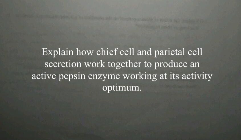 Solved Explain how chief cell and parietal cell secretion | Chegg.com