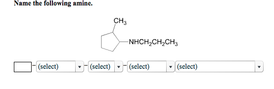 Solved Name the following amine. | Chegg.com