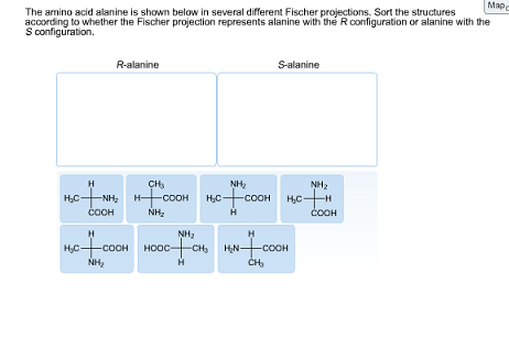 Solved The amino acid alanine is shown below in several | Chegg.com