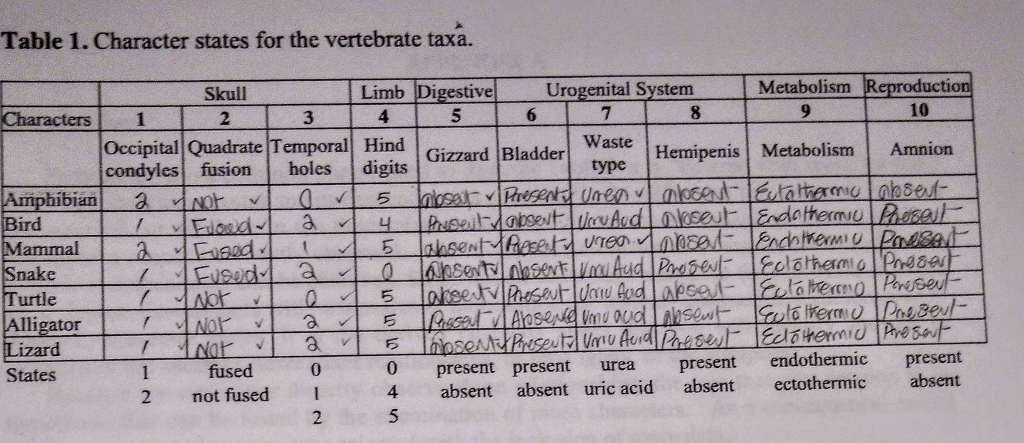 Character states for the vertebrate taxa. | Chegg.com