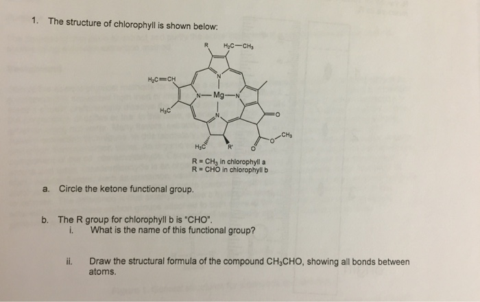 Solved The structure of chlorophyll is shown below: Circle | Chegg.com