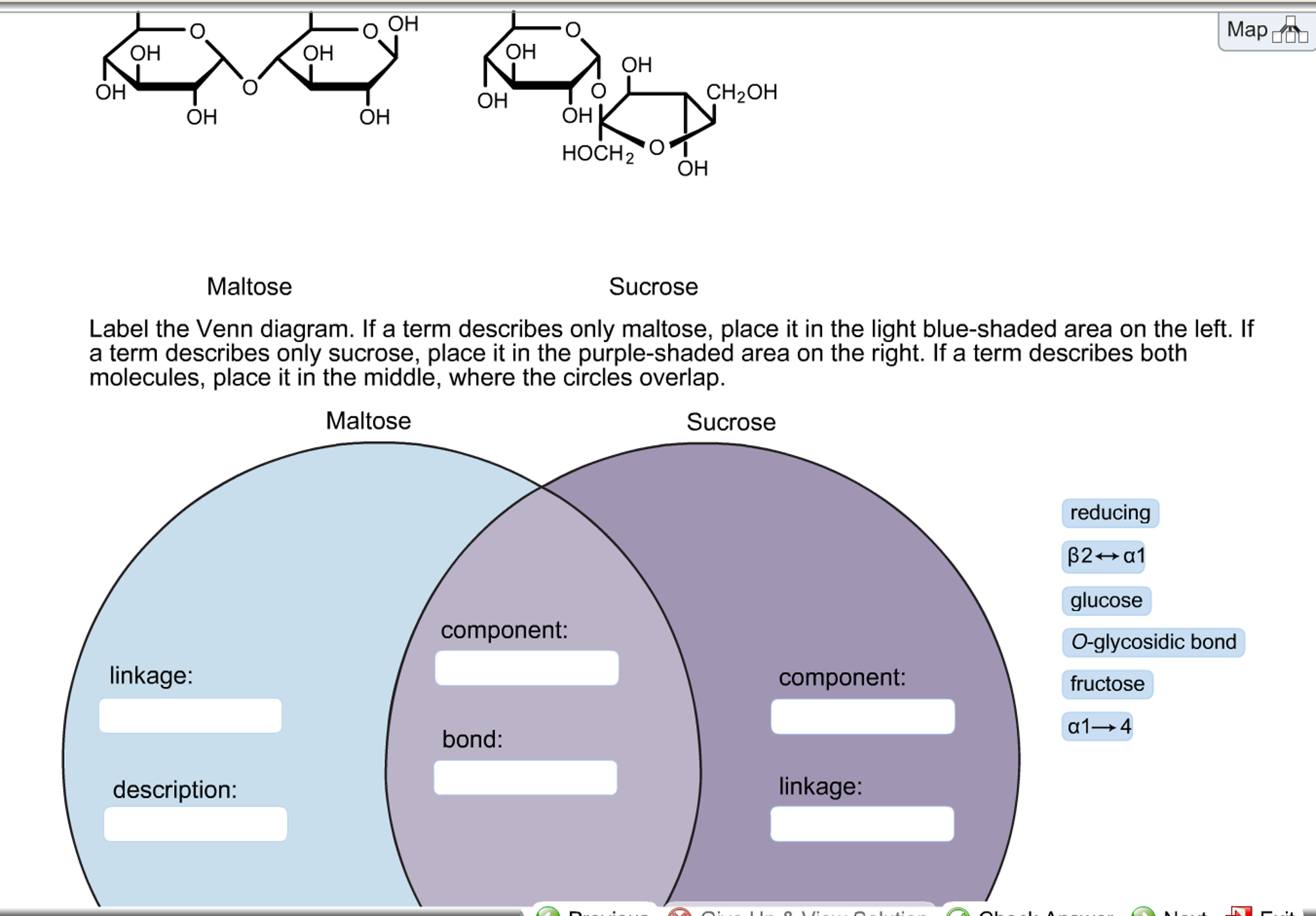 Solved Label the Venn diagram. If a term describes only | Chegg.com Solved Label the Venn diagram. If a term describes only | Chegg.com