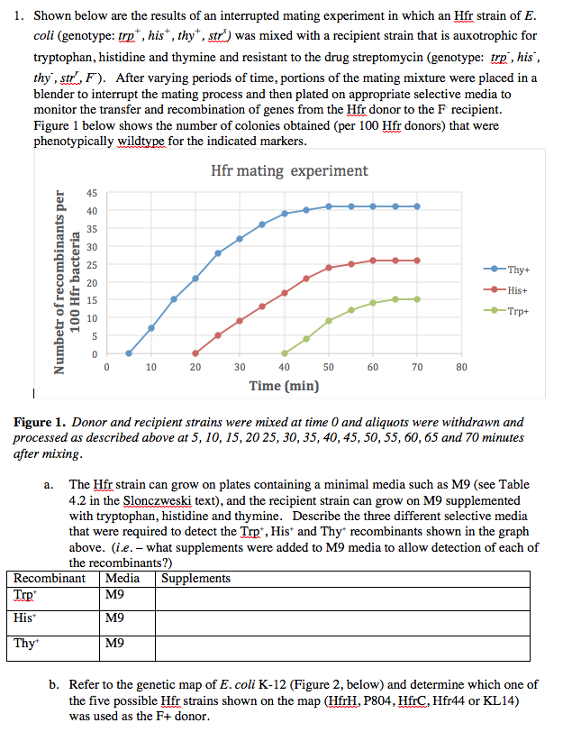 Solved Shown below are the results of an interrupted mating | Chegg.com