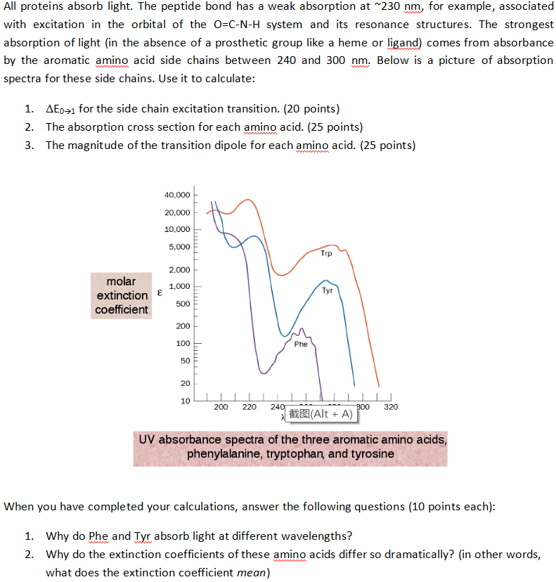 All proteins absorb light. The peptide bond has a | Chegg.com