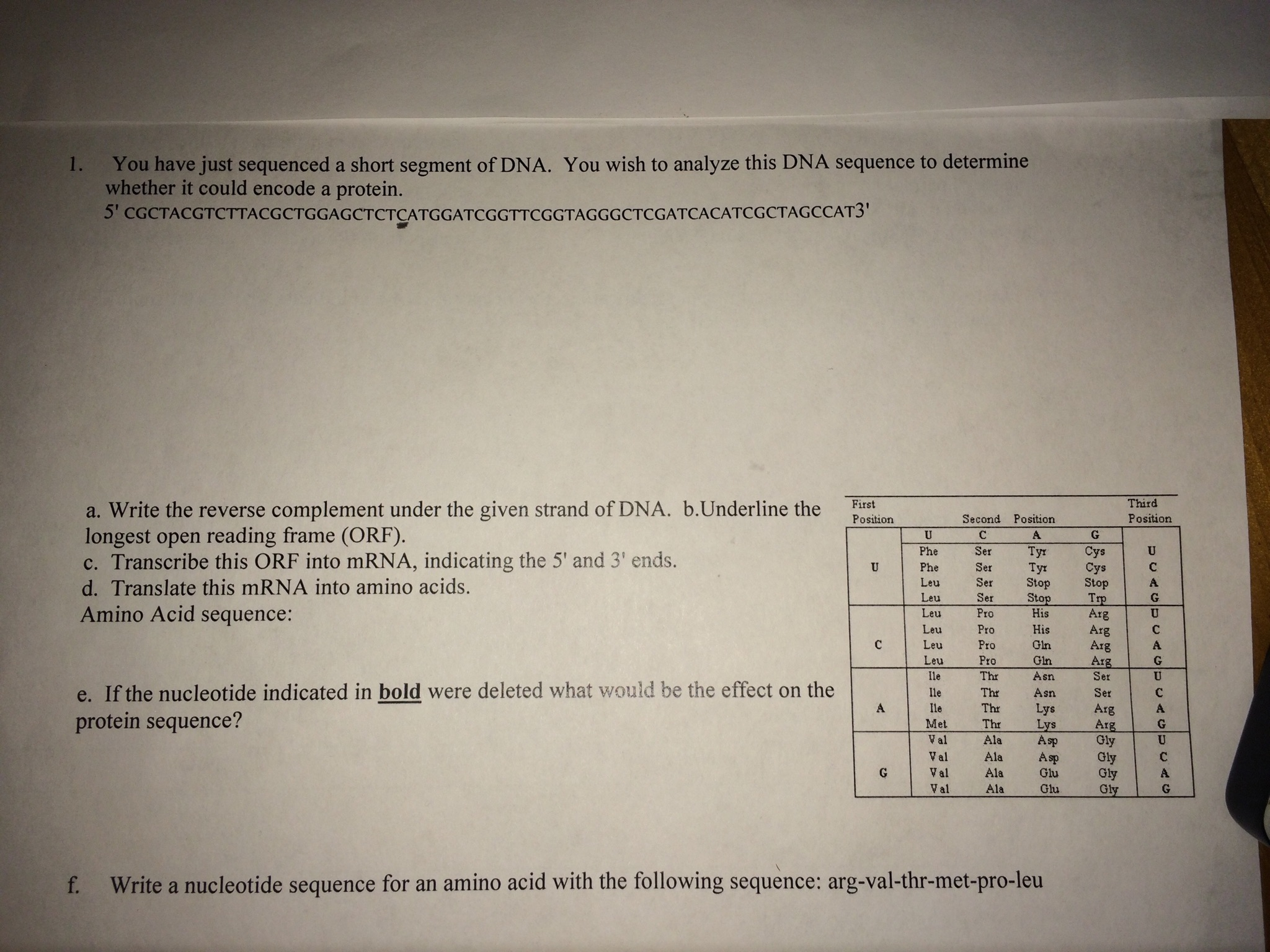 Solved You have just sequenced a short segment of DNA. You | Chegg.com