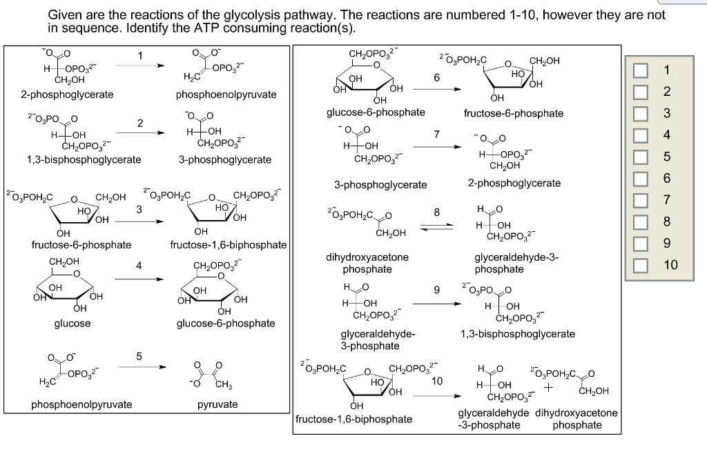 Solved Given are the reactions of the glycolysis pathway. | Chegg.com