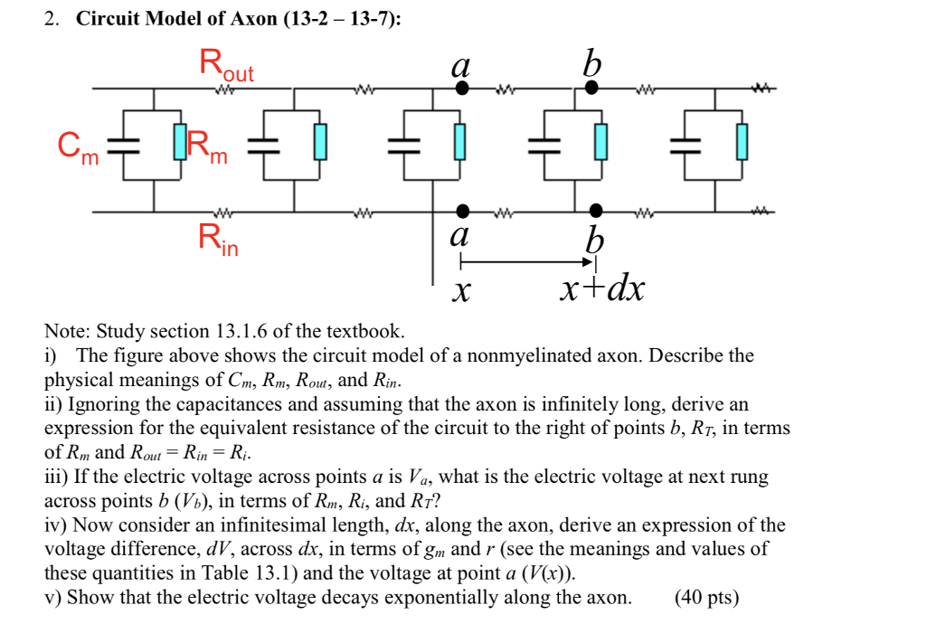 Solved 2. Circuit Model of Axon (13-2 - 13-7): out in Note: | Chegg.com