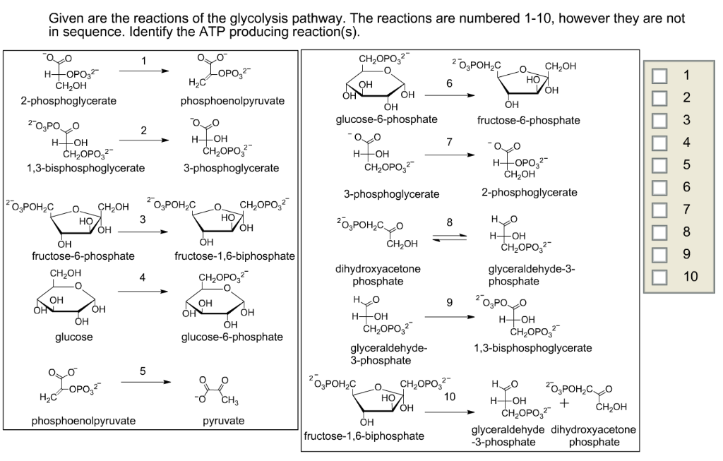 Glycolysis Reactions