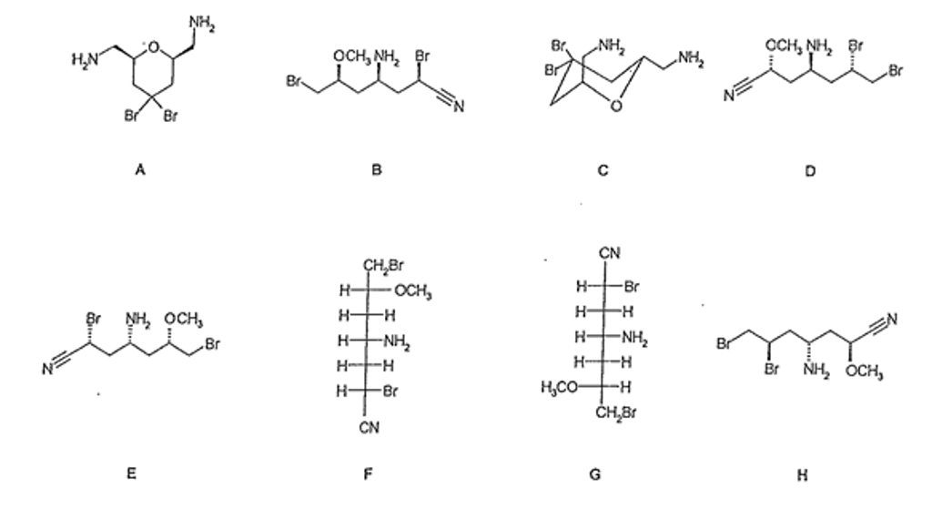 Determine the isomeric relationships between the | Chegg.com