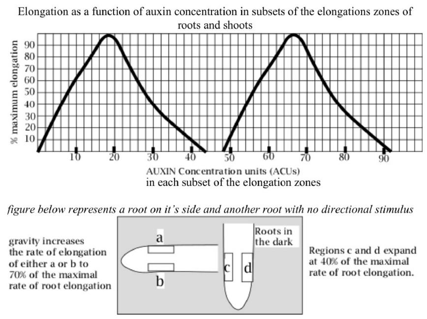 Solved Elongation as a function of auxin concentration in | Chegg.com