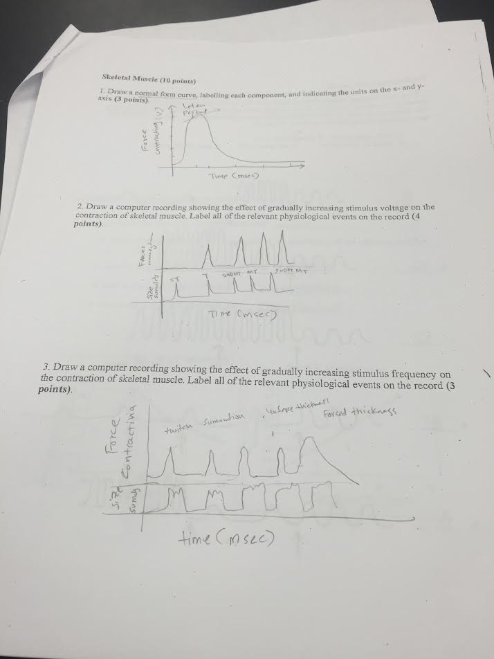 Solved Draw a normal form curve, labeling each component, | Chegg.com