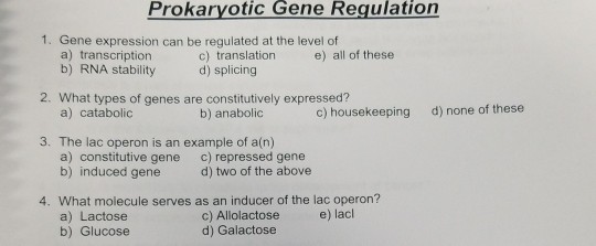Solved Prokaryotic Gene Regulation 1. Gene expression can be | Chegg.com