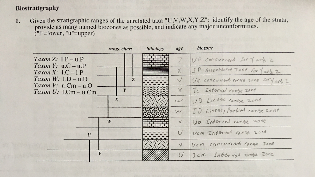 Solved Given the stratigraphic ranges of the unrelated taxa | Chegg.com