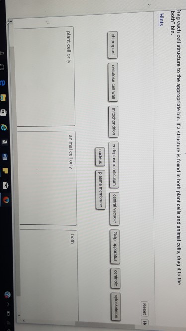 Solved rag each cell structure to the appropriate bin. If a | Chegg.com