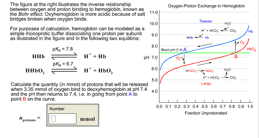 Solved Tissues HO Hb HHb 2 Hb The figure at the right | Chegg.com