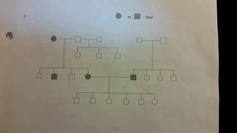 Solved Deaf | Chegg.com