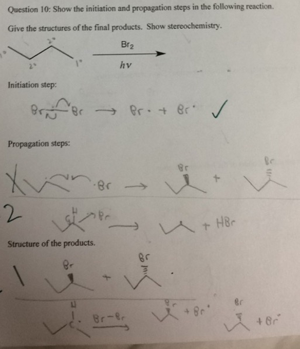 Solved Show the initiation and propagation steps in the | Chegg.com