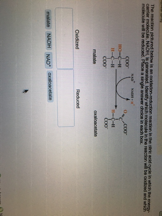 Solved The reaction pictured below Is an oxidation-reduction | Chegg.com