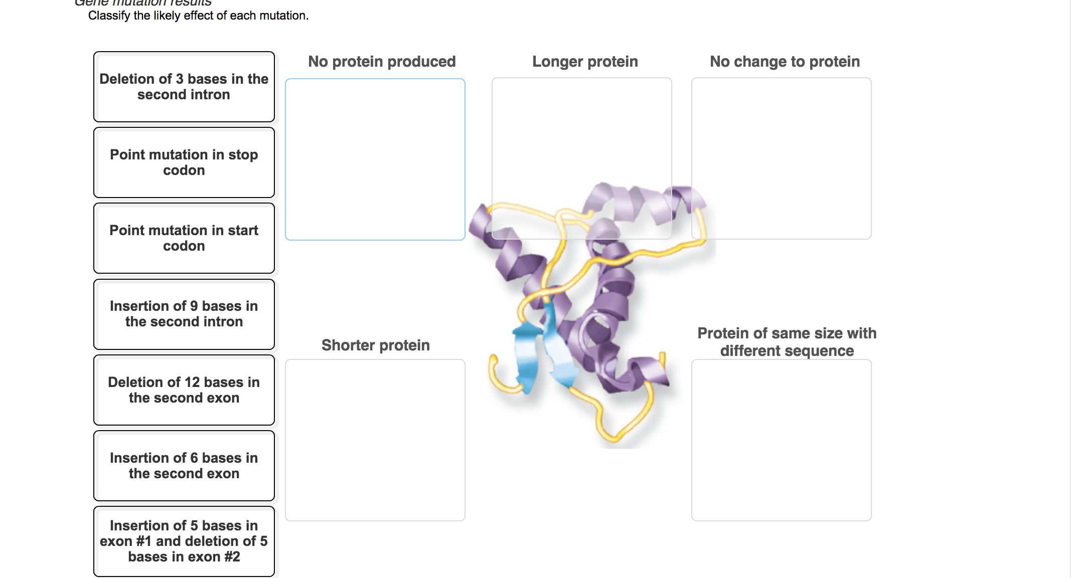 Central dogma Arrange the following parts and | Chegg.com Central dogma Arrange the following parts and | Chegg.com
