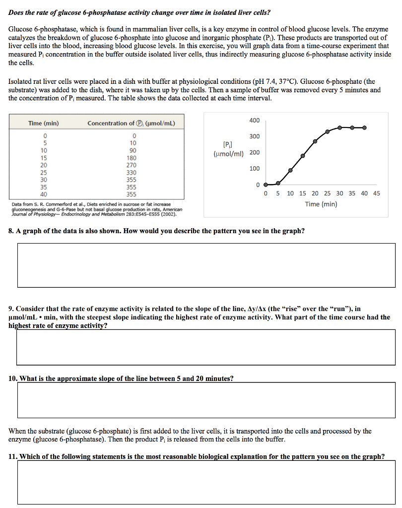 Solved Does the rate of glucose 6-phosphatase activity | Chegg.com