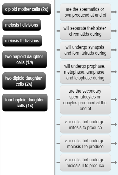 Solved Using no more than 15 propositions, create a Concept | Chegg.com