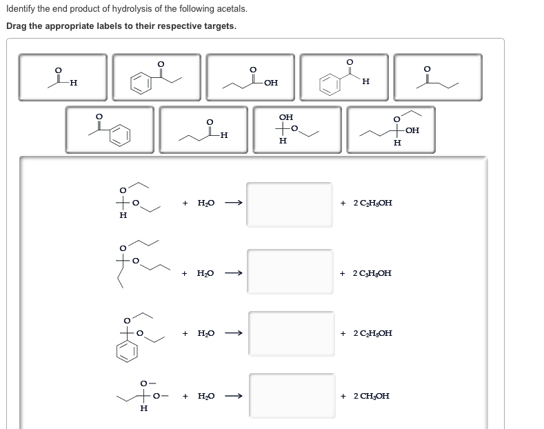 Solved Identify the end product of hydrolysis of the | Chegg.com