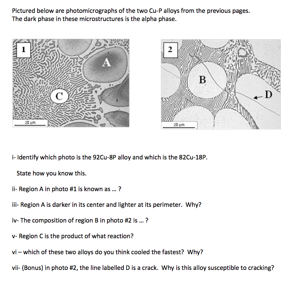 Solved Pictured below are photomicrographs of the two Cu-P | Chegg.com