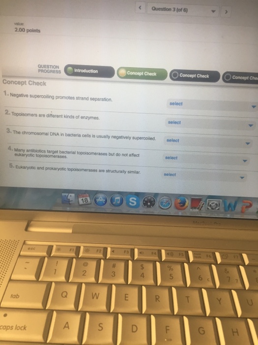 Solved Negative supercoiling promotes strand separation. | Chegg.com