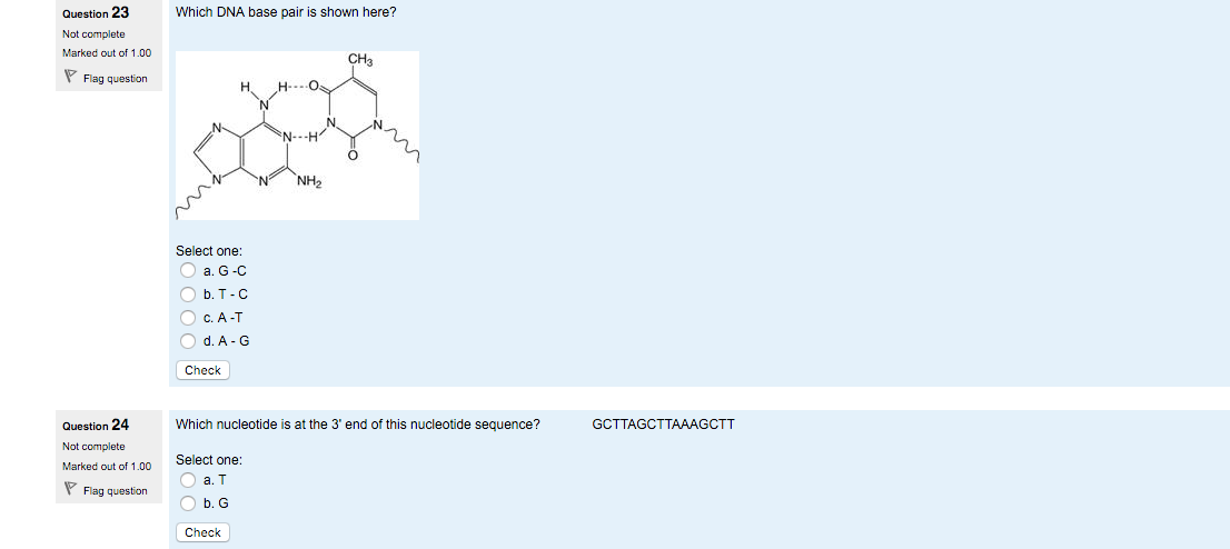 Solved A primary transcript RNA may contain segments that | Chegg.com