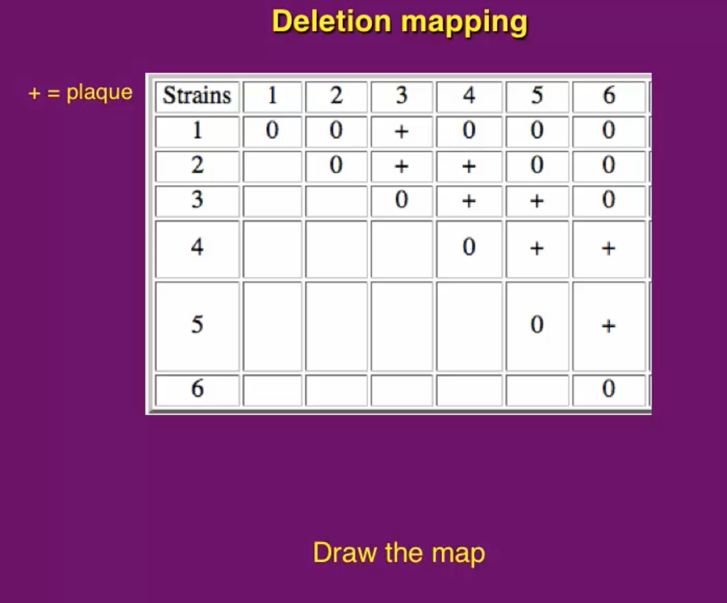 Solved Deletion mapping Strains1 234 5 0 0 = plaque 0 0 0 0 | Chegg.com