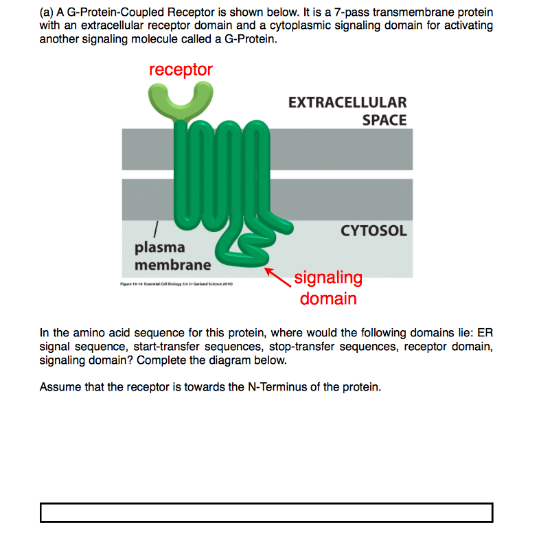 Solved A G-Protein-Coupled Receptor is shown below. It Is a | Chegg.com