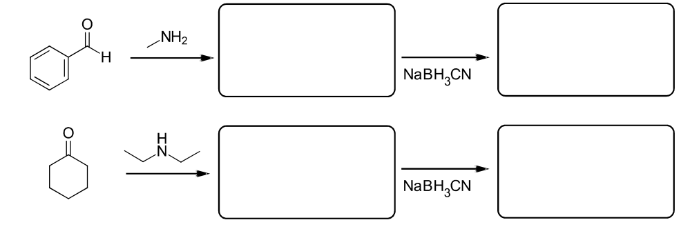 Solved NH2 NaBH3CN NaBH2CN | Chegg.com