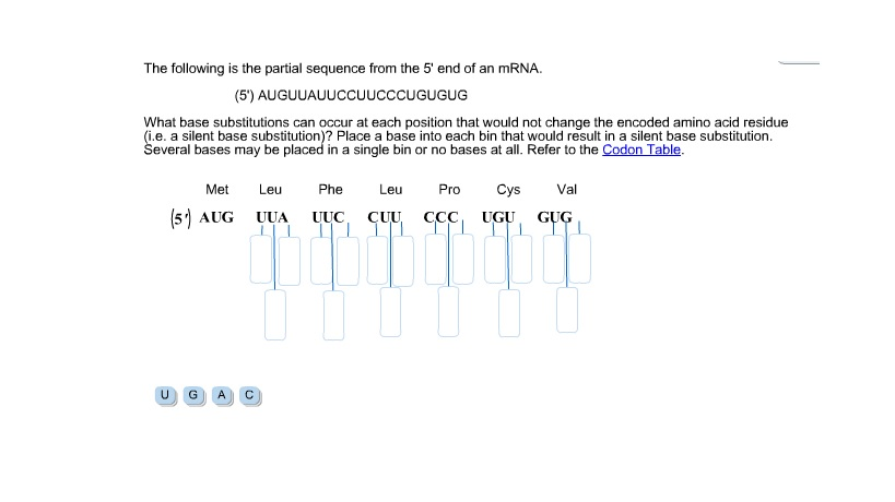 Solved The following is the partial sequence from the 5 end | Chegg.com